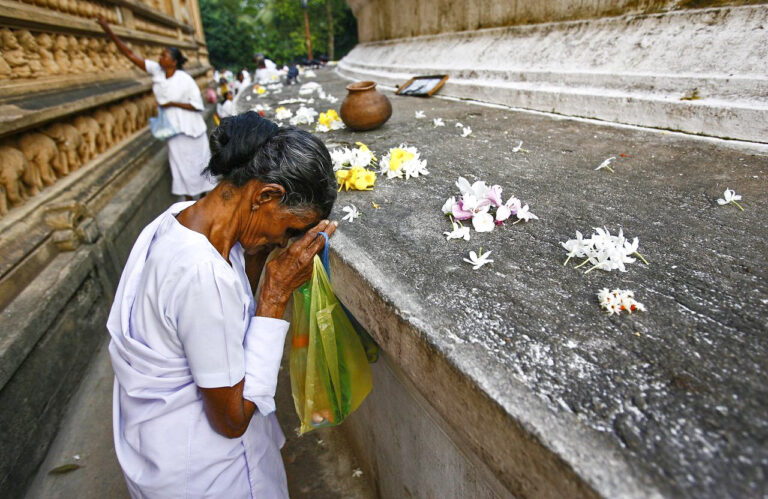 Colombo: A sunlit escape - Hand of Colors