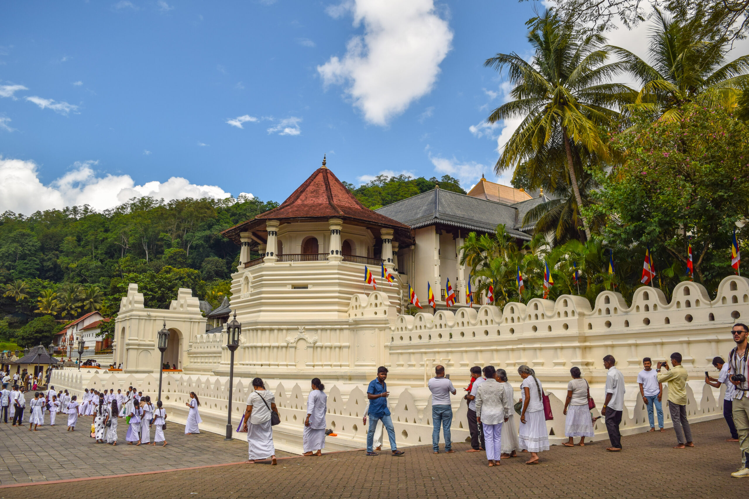 In the Kingdom of Kandy - Hand of Colors