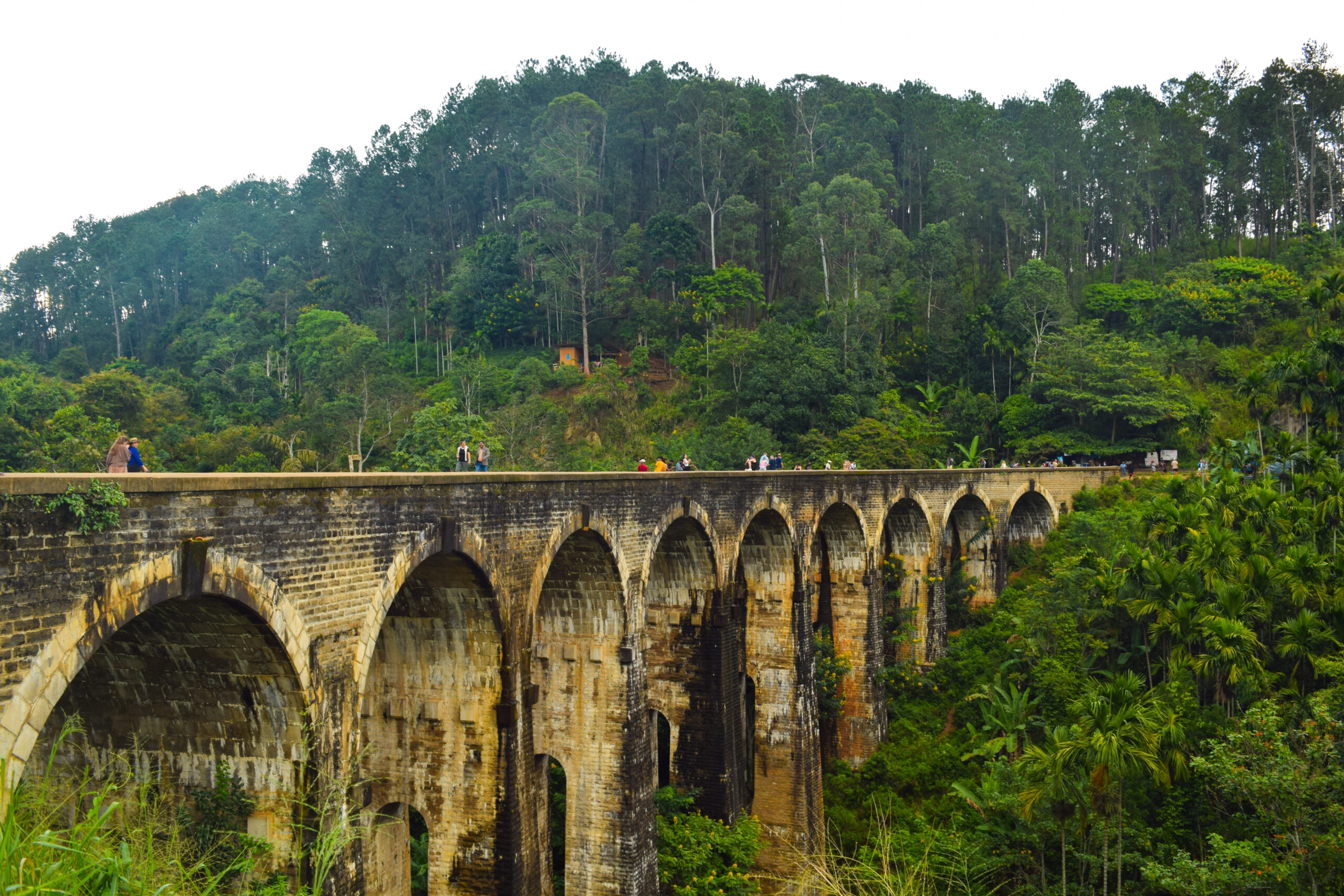 The magic of Ella - Hand of Colors